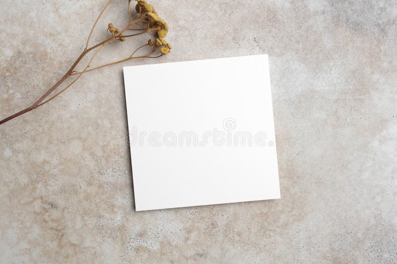 Blank Square Wish Card Mockup with Botanical Decor, Top View with Copy ...