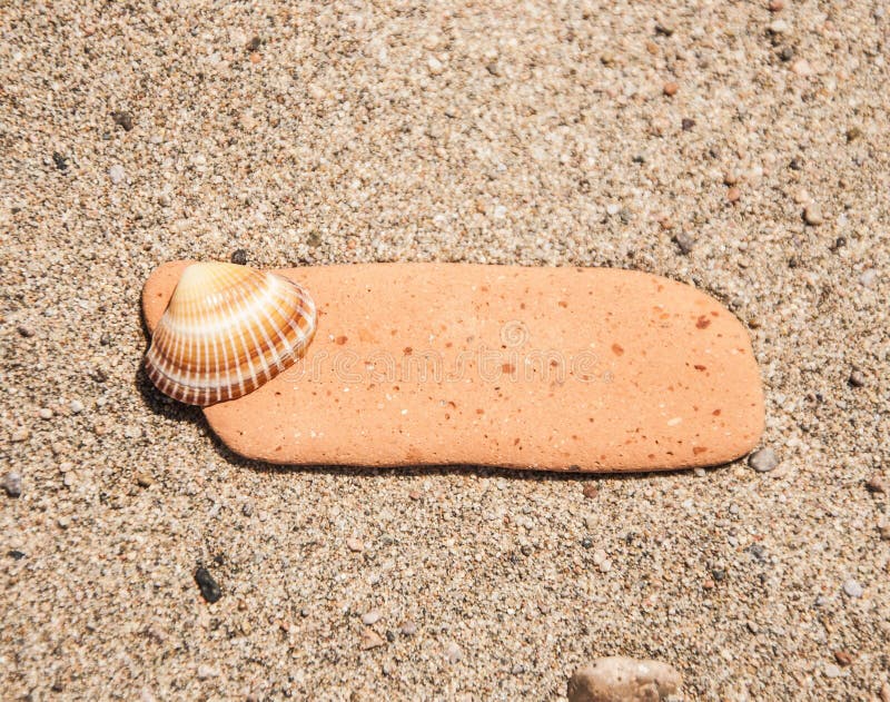 Blank Stone Lying on a Sandy Beach Stock Image - Image of stone, summer ...