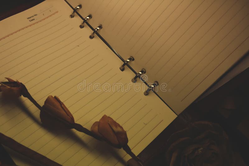 Blank Striped Paper with Flowers Stock Image - Image of floor, writing ...