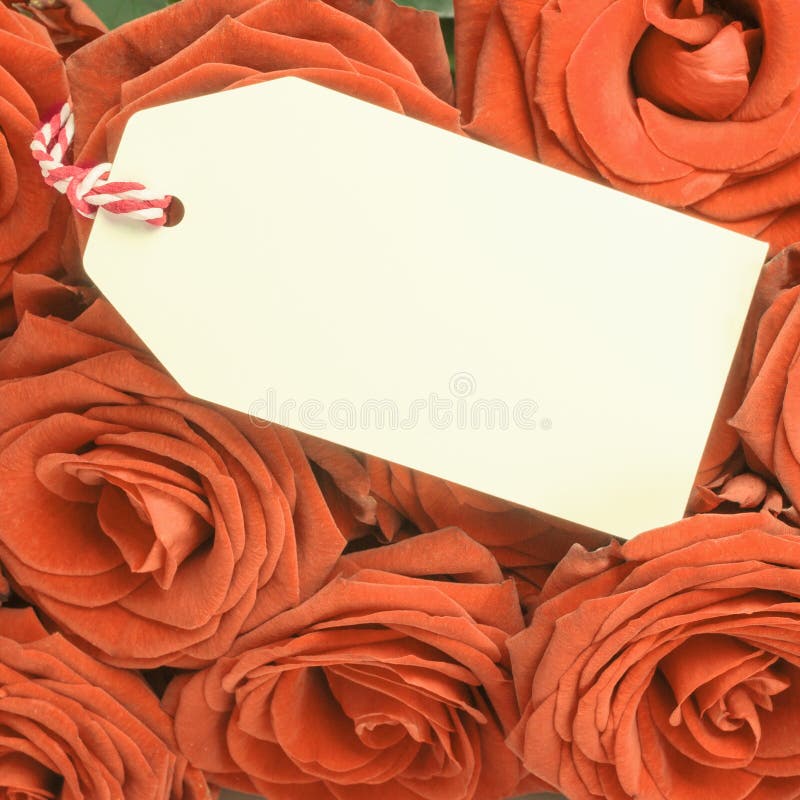 Blank tag with roses stock photo. Image of paper, close - 146254222