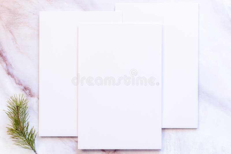 Blank Vertical White Sheets Business Design Template Stock Photo ...