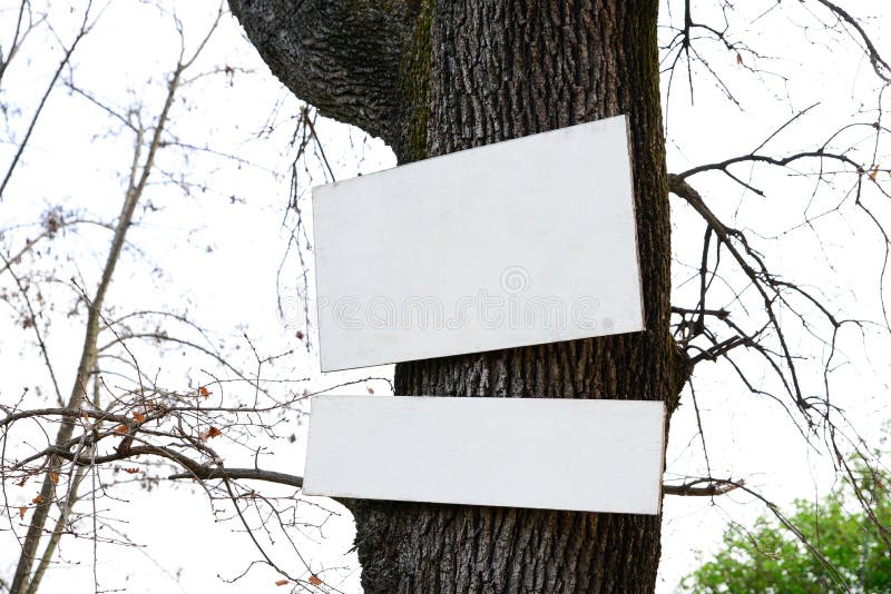Blank White Boards Attached To Tree Trunk Outdoors. Space for Text ...