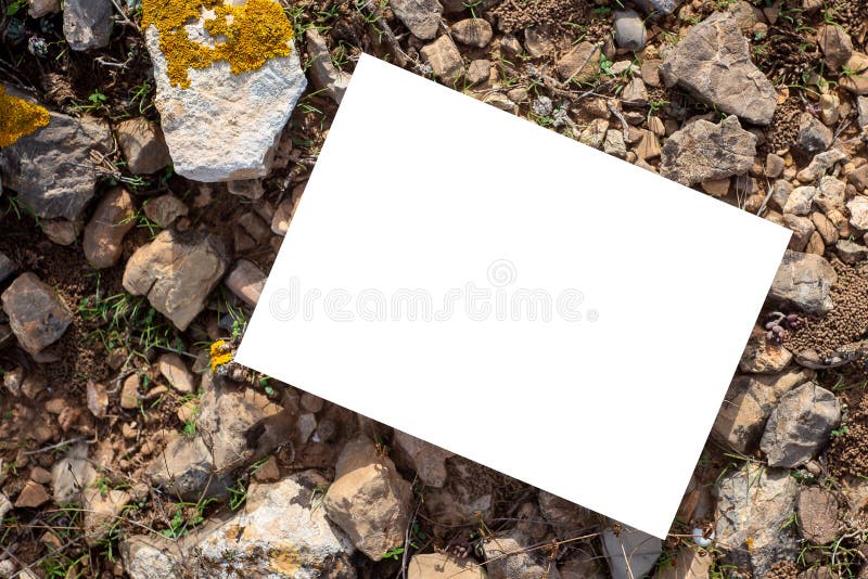 Blank White Card with Copy Space for Text or Image on a Rocky Soil ...