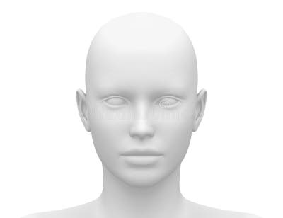 Human Body Blank Anatomy Stock Illustrations – 728 Human Body Blank ...