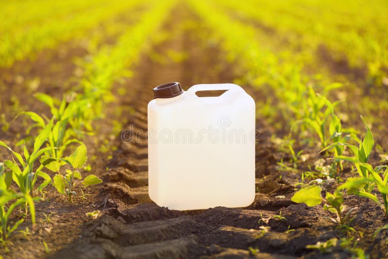 Blank White Herbicide Canister Can in Corn Seedling Field in Springtime ...