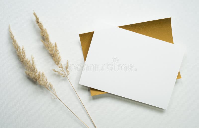 Blank White Invitation Template Stock Photo - Image of gras, beauty ...