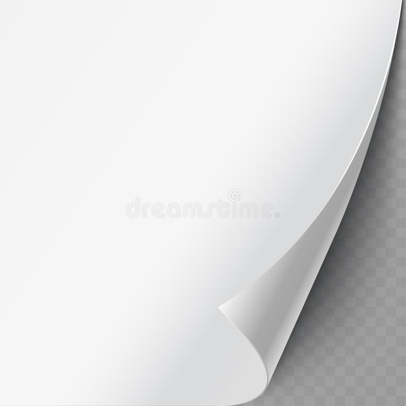 Blank White Paper Sheet with Corner Curl Mockup for Design Vector Stock ...
