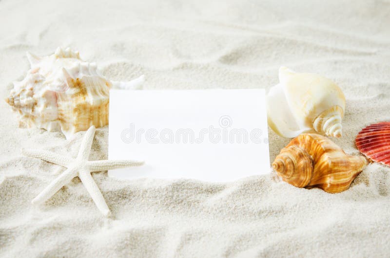 Blank White Paper with Starfish and Seashells on White Sand Stock Image ...