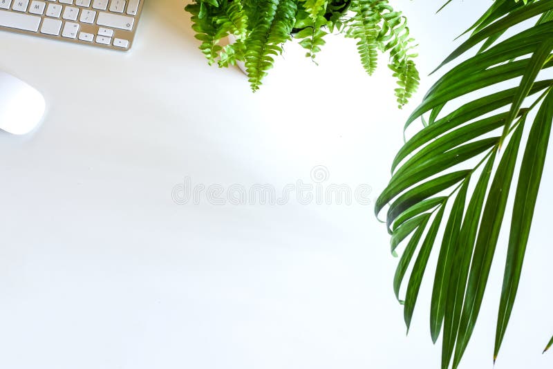 Blank White Screen on Portable Tablet Device on Modern Office Desk ...