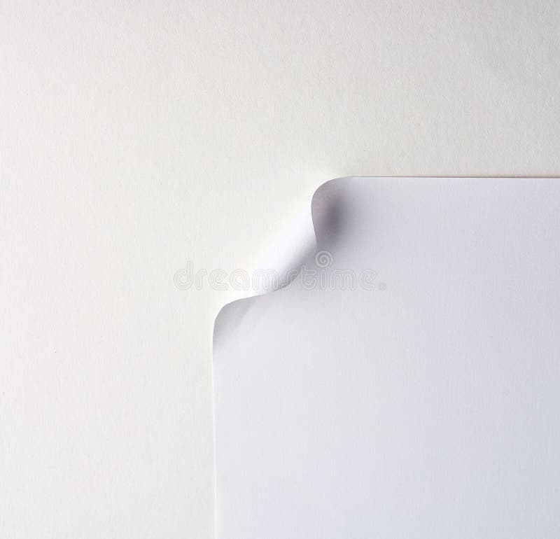 Curved Edge of a Pink Paper Sheet is Isolated on a White Background ...