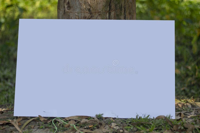 A Blank White Sign Board Leaning Against a Tree, Real Shadow, and the ...
