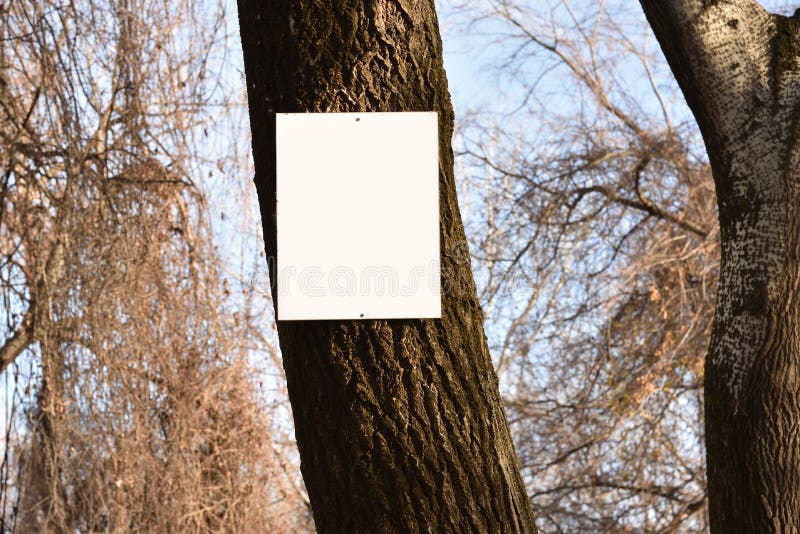 Blank White Sign Board on a Tree in the Forest Stock Photo - Image of ...