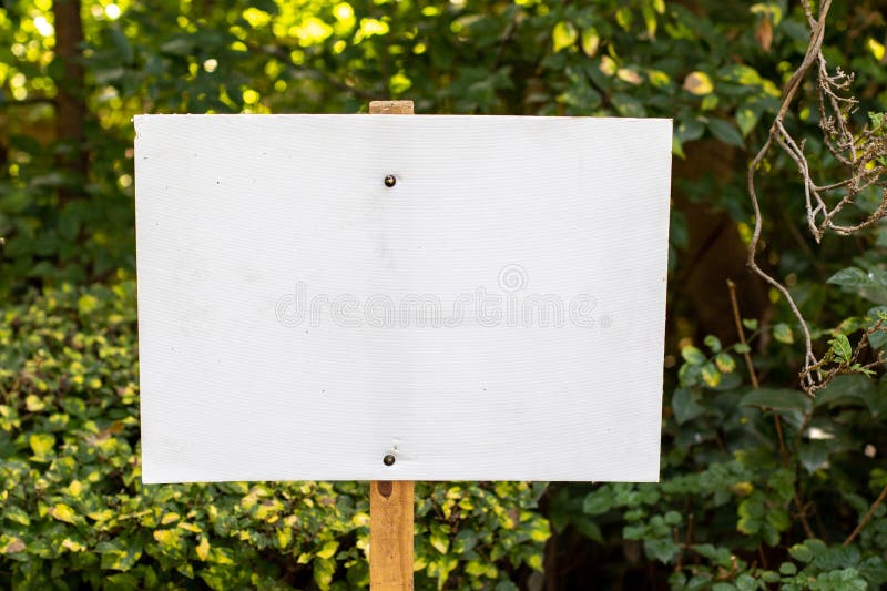 Blank white sign isolated stock image. Image of pole - 274258057