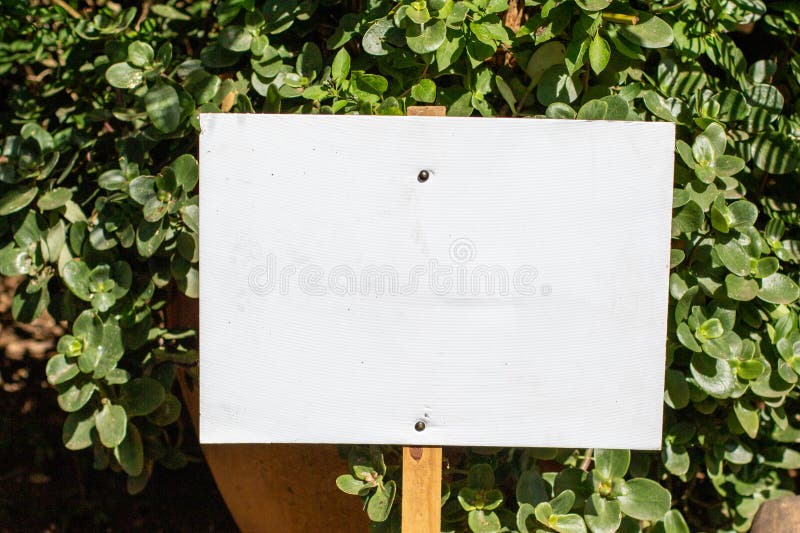 Blank white sign isolated stock photo. Image of insert - 274258040