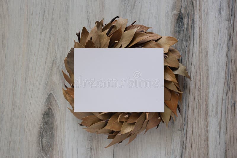 Blank White Sign Laying on Dried Brown Fall Colored Leafs Stock Photo ...