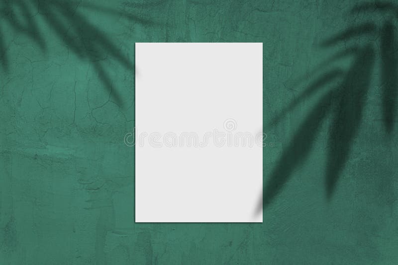 Blank White Vertical Rectangle Poster Mockup with Light Shadow on Green ...