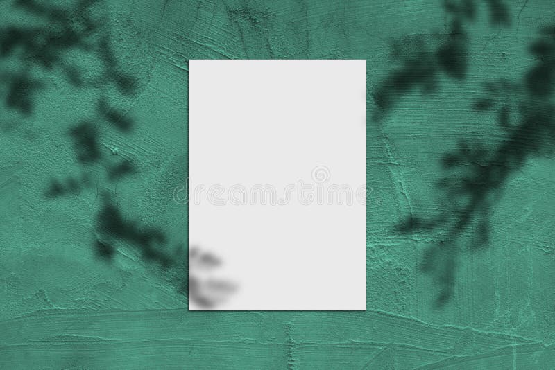 Blank White Vertical Rectangle Poster Mockup with Light Shadow on Green ...