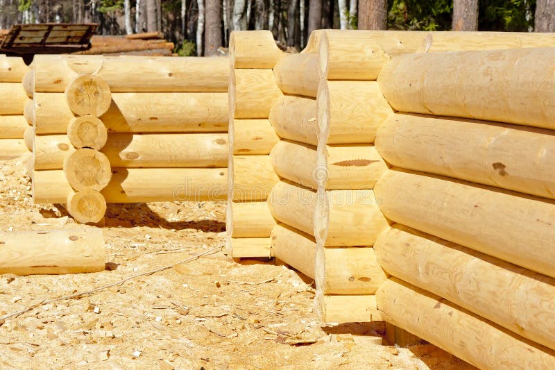 The Blank Wooden Frame Made of Round Timber Stock Image - Image of ...