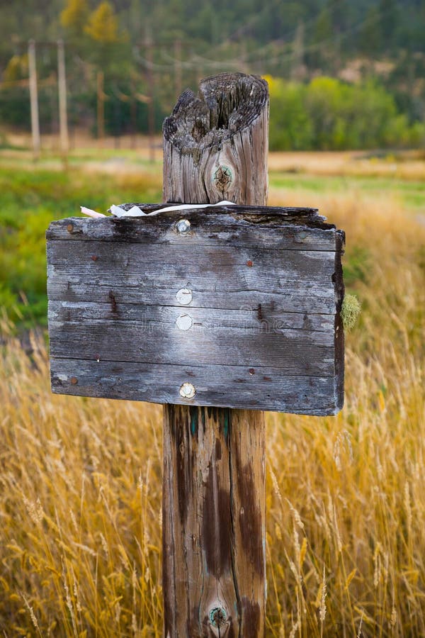 Blank Wooden Sign in Field stock photo. Image of fall - 38209668