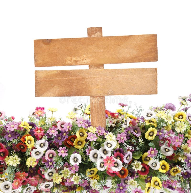 Flowers stock photo. Image of blank, colorful, love, peace - 92810532