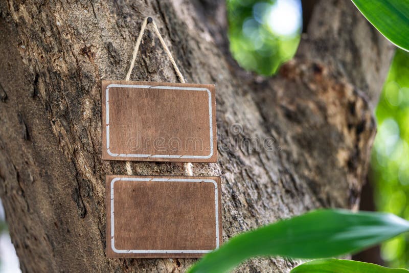 Blank Wooden Sign Hanging on a Tree in Nature Stock Photo - Image of ...