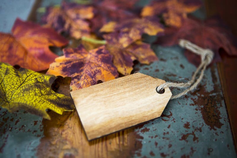 Blank Wooden Tag with Leaves Stock Photo - Image of holiday, blank ...