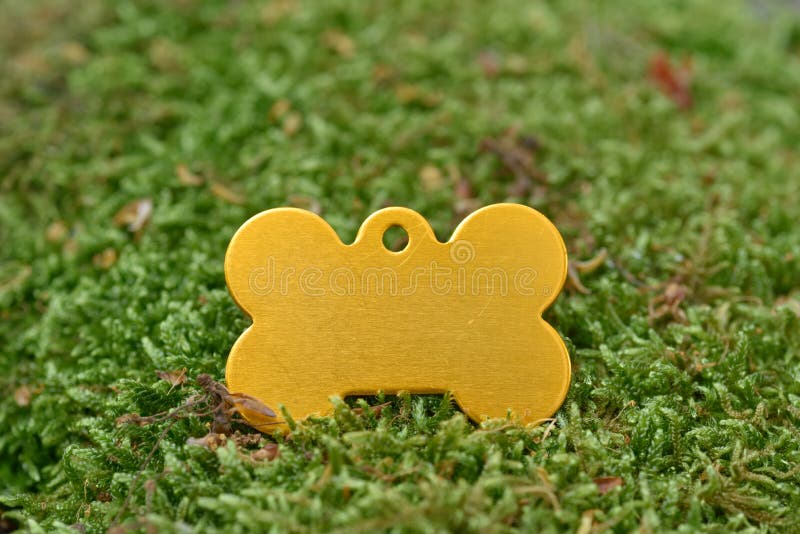 Blank Yellow Dog Tag on the Green Grass Stock Image - Image of meal ...