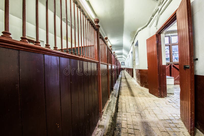 Blarney Castle Stables editorial stock photo. Image of castle - 85545743