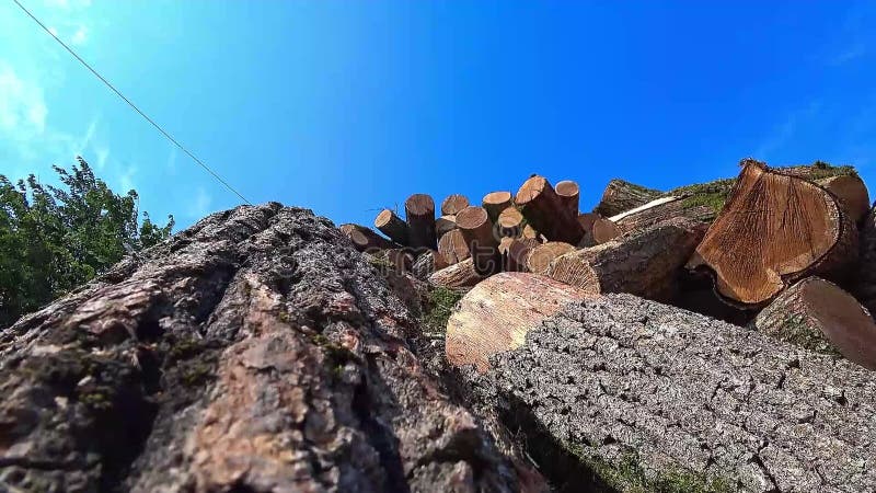 Blast Effect for Video Overlay Effect Fire Burning and Energy Explosion ...