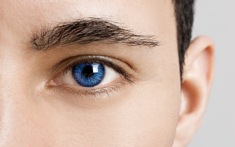 Blau-Augen stockfoto. Bild von augen, baumuster, männer - 13128548