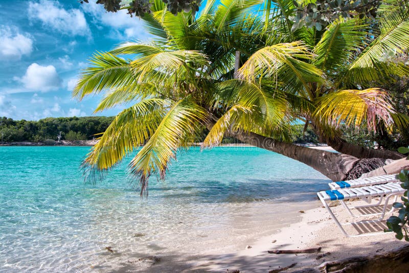 Blauer Lagunen-Strand Bahamas Stockbild - Bild von tropisch, meer: 65421789