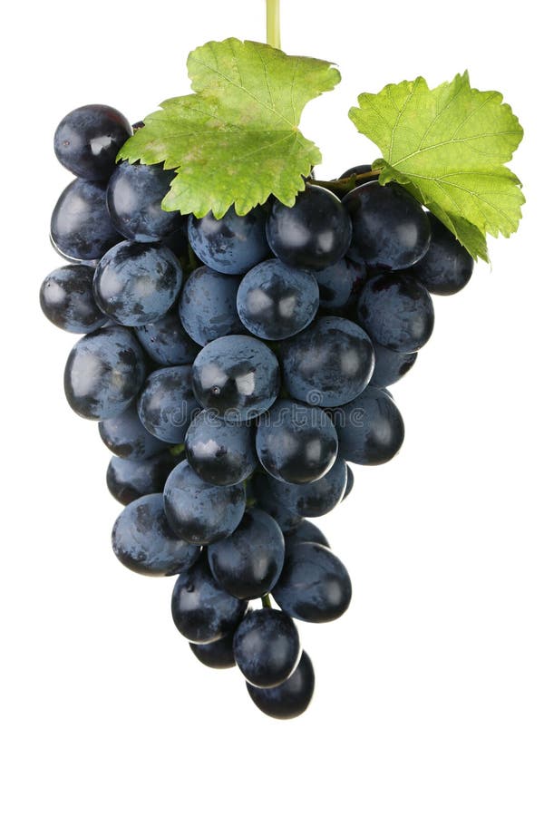Rode druif stock foto. Image of najaar, gezondheid, organisch - 102374766