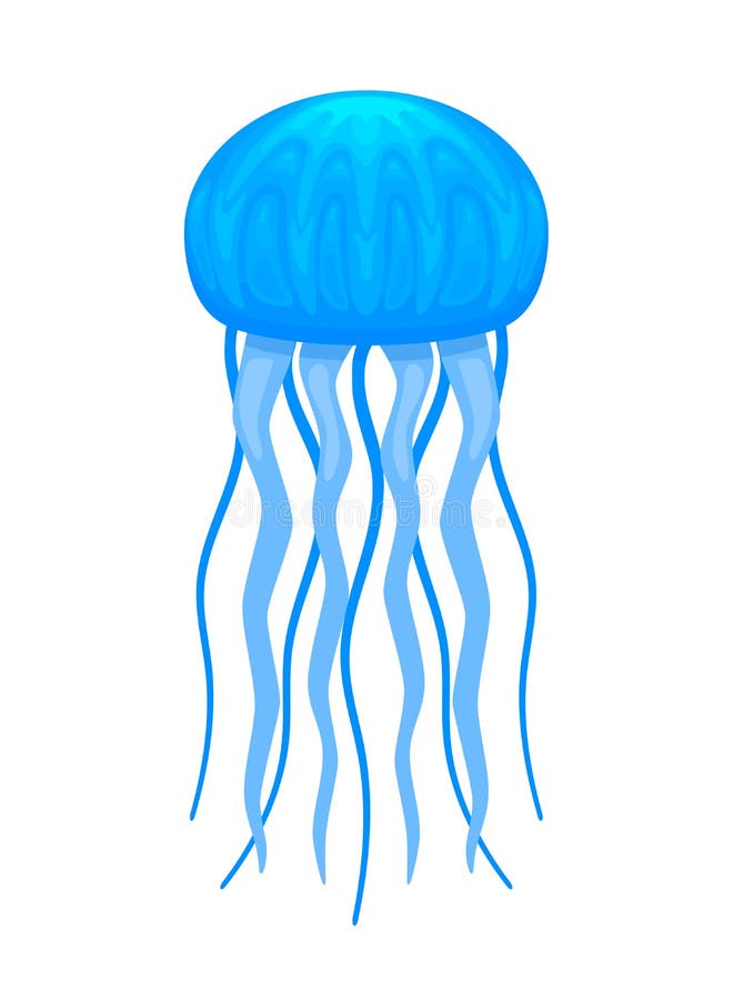 Blauwe Kwal, Beeldverhaal Vectorillustratie Vector Illustratie ...