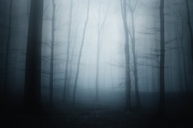 Blauwe mist in eng bos stock afbeelding. Image of nachtmerrie - 46353465