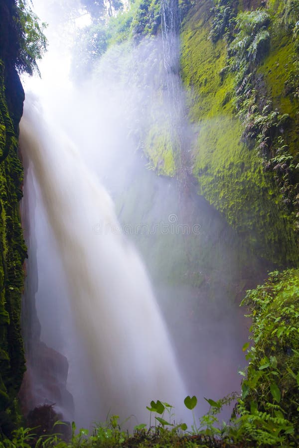 Blawan Waterfall, Indonesia Stock Image - Image of lush, autumn: 40069467