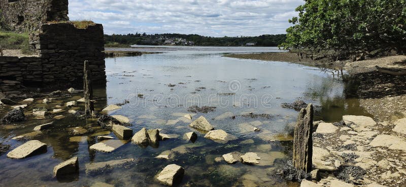 Blaxton Creek, River Tavy, Devon Stock Image - Image of pond, devon ...