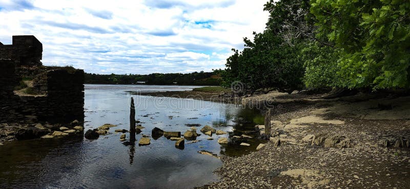 Blaxton Creek, River Tavy, Devon Stock Photo - Image of wetland, tree ...