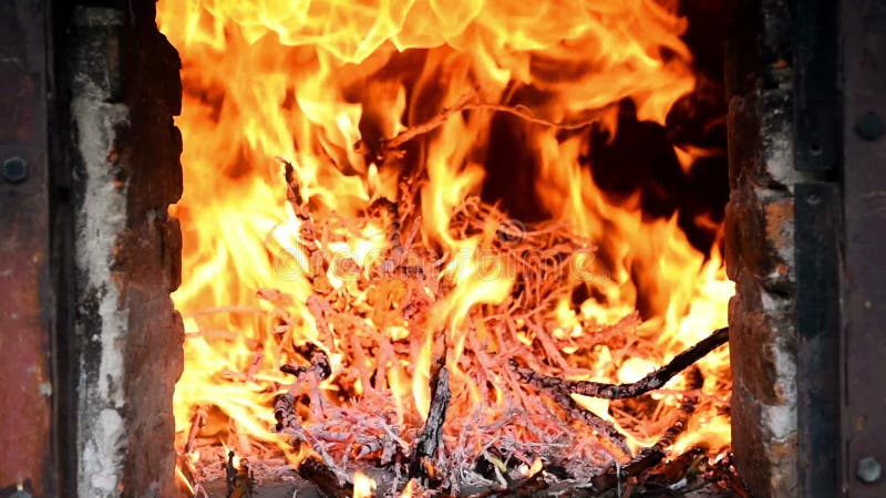 Blaze Fire Flame stock video. Video of bonfire, light - 171439639