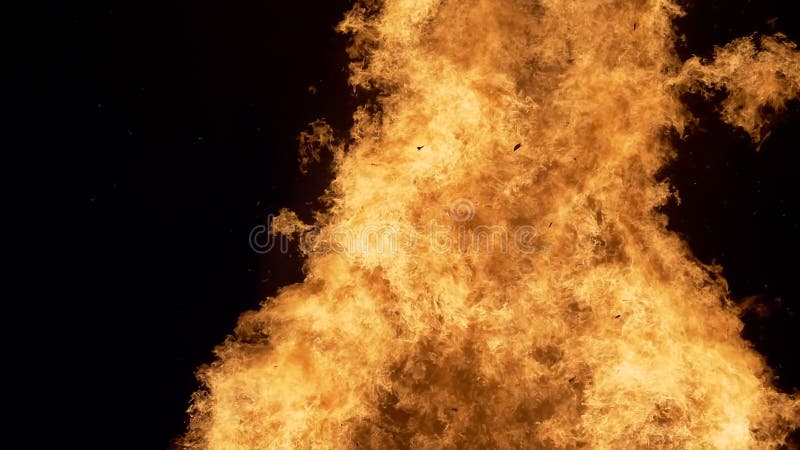 Blaze Fire Flame stock video. Video of bonfire, light - 171439639