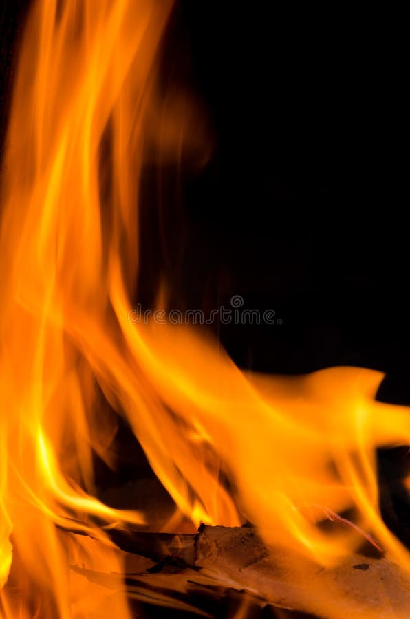 Blaze fire from flame. stock photo. Image of wild, hell - 59728888