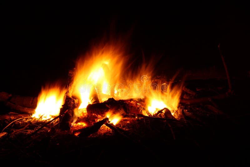Bonfire stock image. Image of forest, relaxing, rest - 49204185