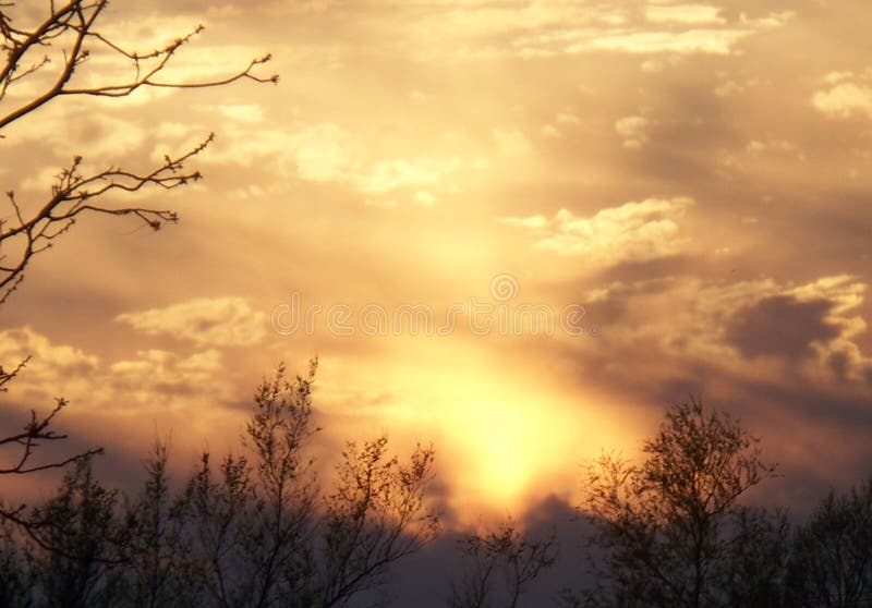 Blazing Brazen Sunset stock image. Image of yellow, brown - 175310017