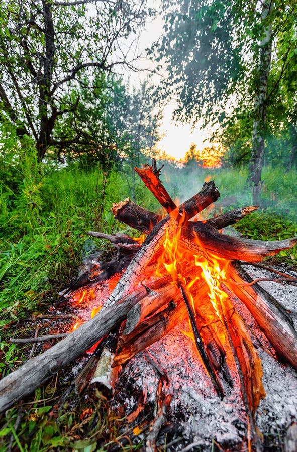 Blazing Campfire stock photo. Image of campfire, fuel, blaze - 949202