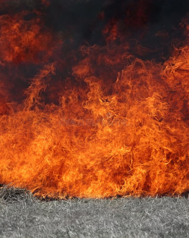 Blazing Fire stock image. Image of dramatic, element, primal - 1107431