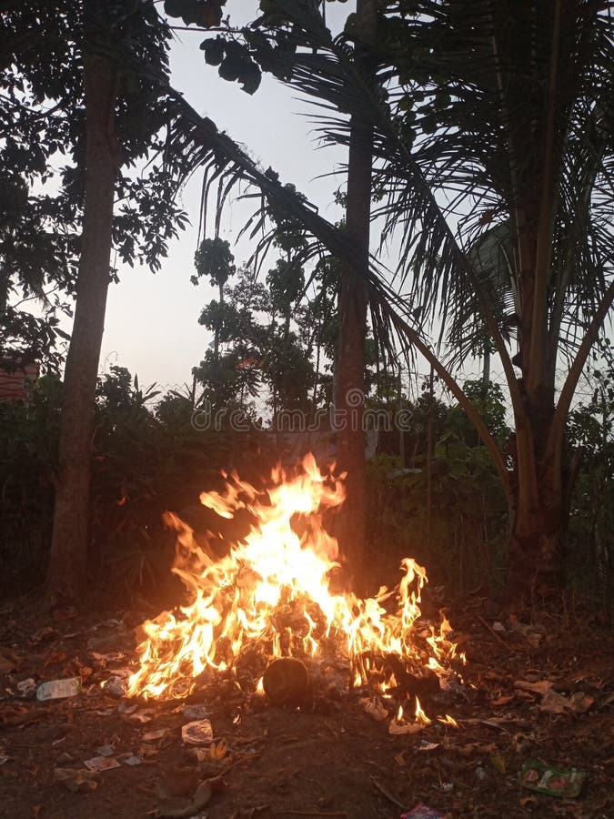 Blazing Fire Fire Burning in Cold Temperatures Stock Photo - Image of ...