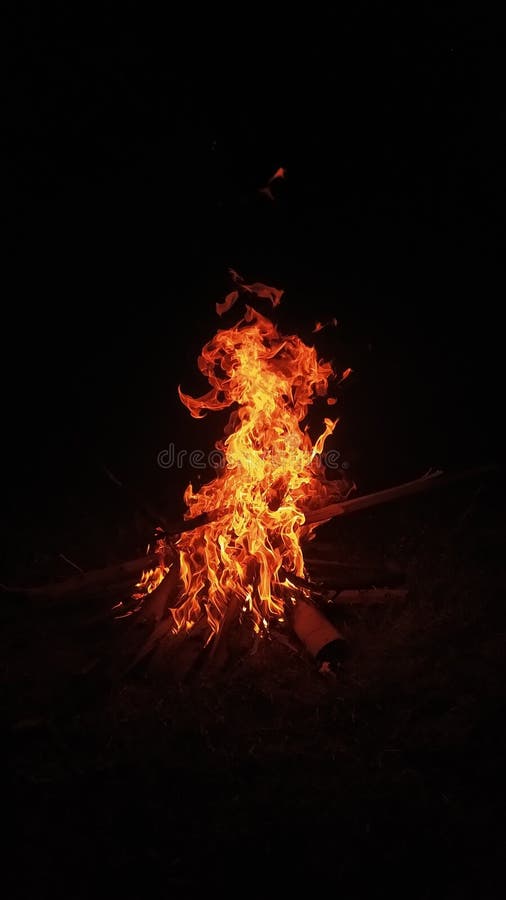 A Blazing Fire at Night on a Black Background Stock Image - Image of ...
