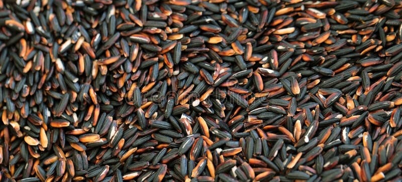 Blcak Coarse Rice or Half Polished Rice Background. Stock Photo - Image ...