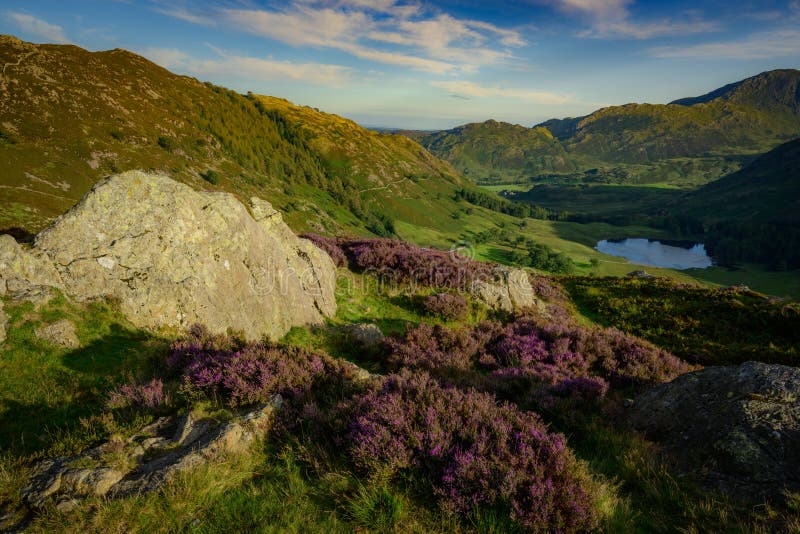Blea Tarn in Langdale, Lake District Stock Image - Image of grand ...