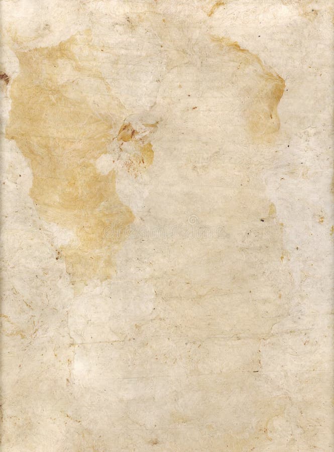 Brown Bark Paper. stock image. Image of bark, nature, wood - 130215