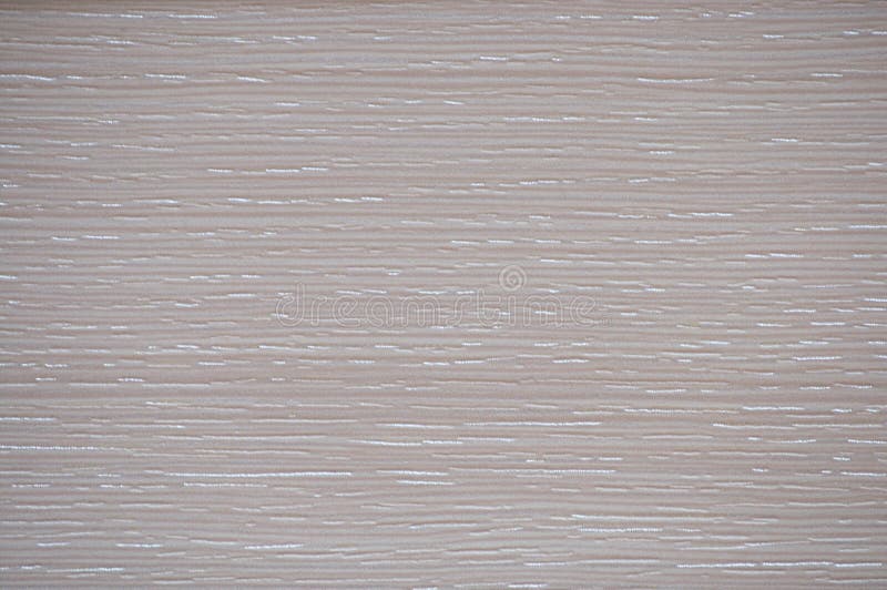 Bleached Oak, Light Natural Wood Surface Close-up Stock Image - Image ...